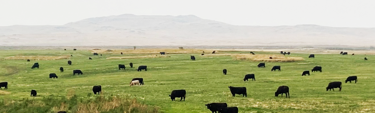 Farms & Ranches - Locally Grown Guide