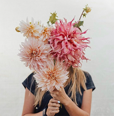 Wild Flora Farm - Locally Grown Guide