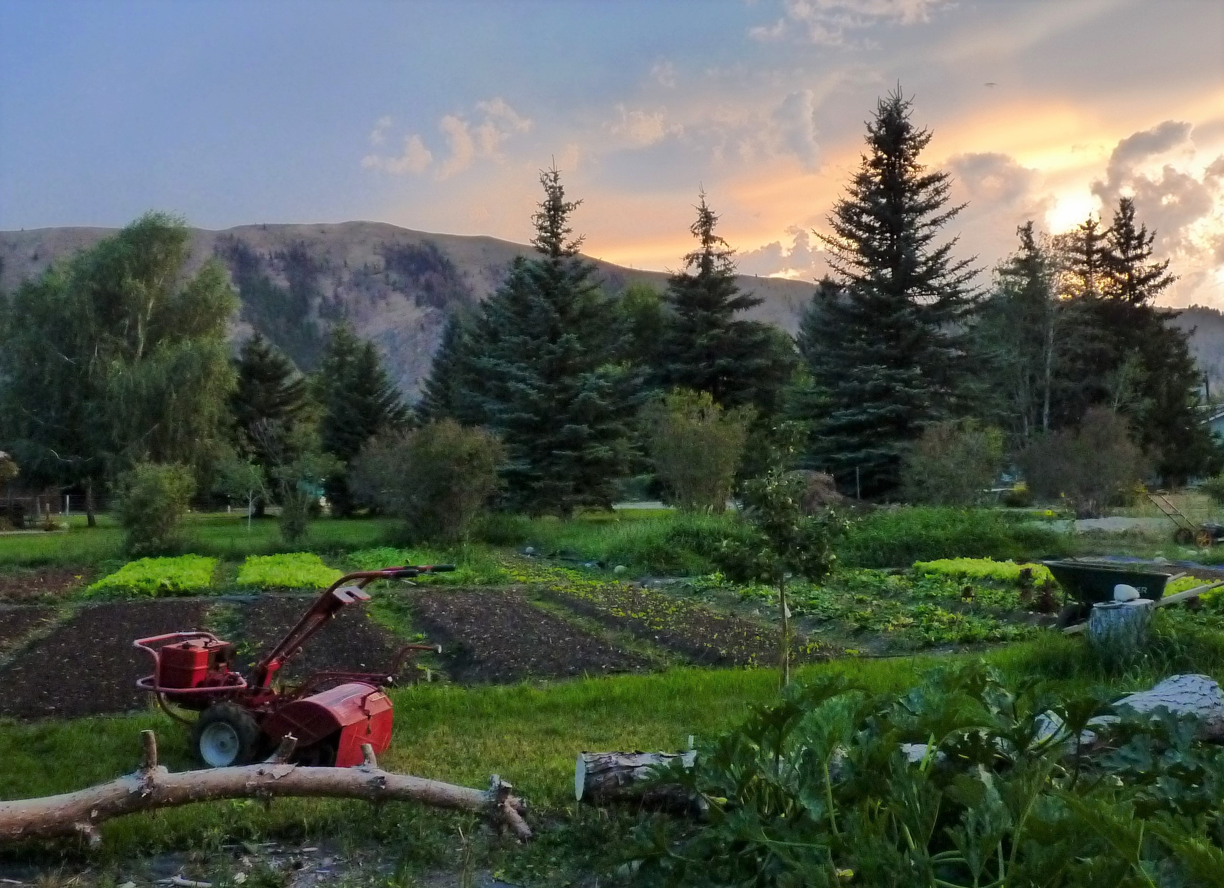 Shooting Star Farm - Locally Grown Guide